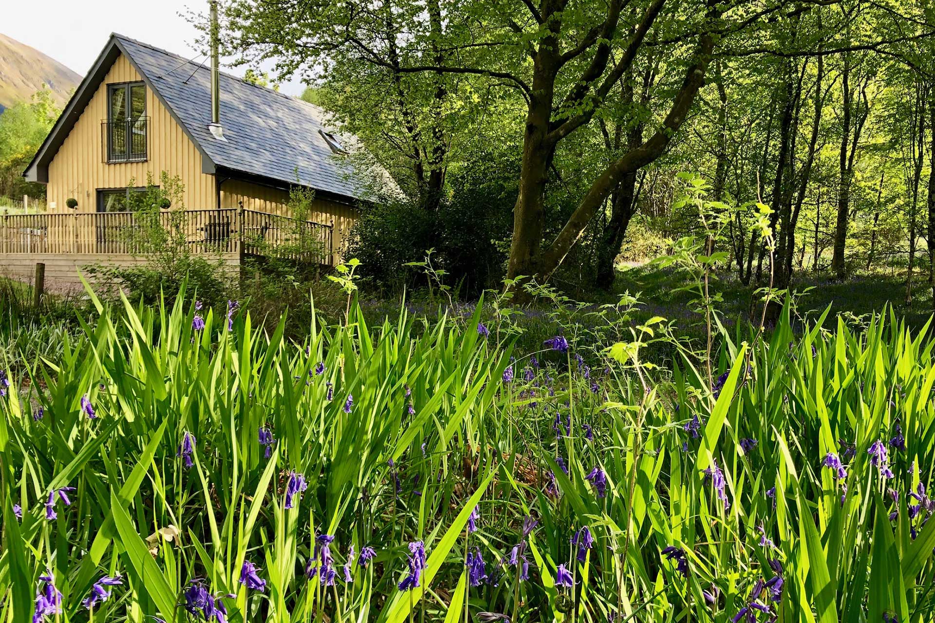 Home | Bluebell Cottage Glencoe